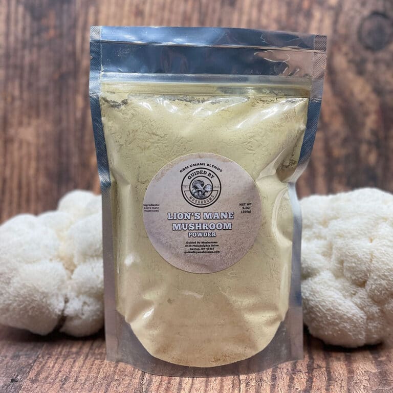 Oyster Mushroom Powder (bulk) - Guided By Mushrooms